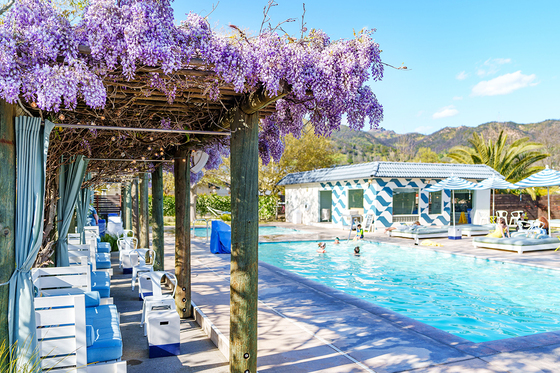 The Calistoga Motor Lodge & Spa: Pool & Spa Day Pass Napa Valley ...