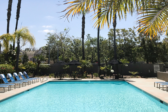 DoubleTree by Hilton Hotel San Diego - Mission Valley: Pool & Spa Day ...