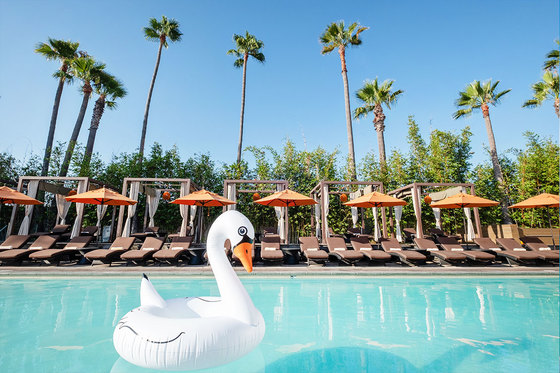 Hotel Maya : Pool & Spa Day Pass Long Beach | ResortPass