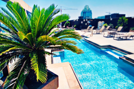 Omni Austin Hotel Downtown Day Pass | ResortPass