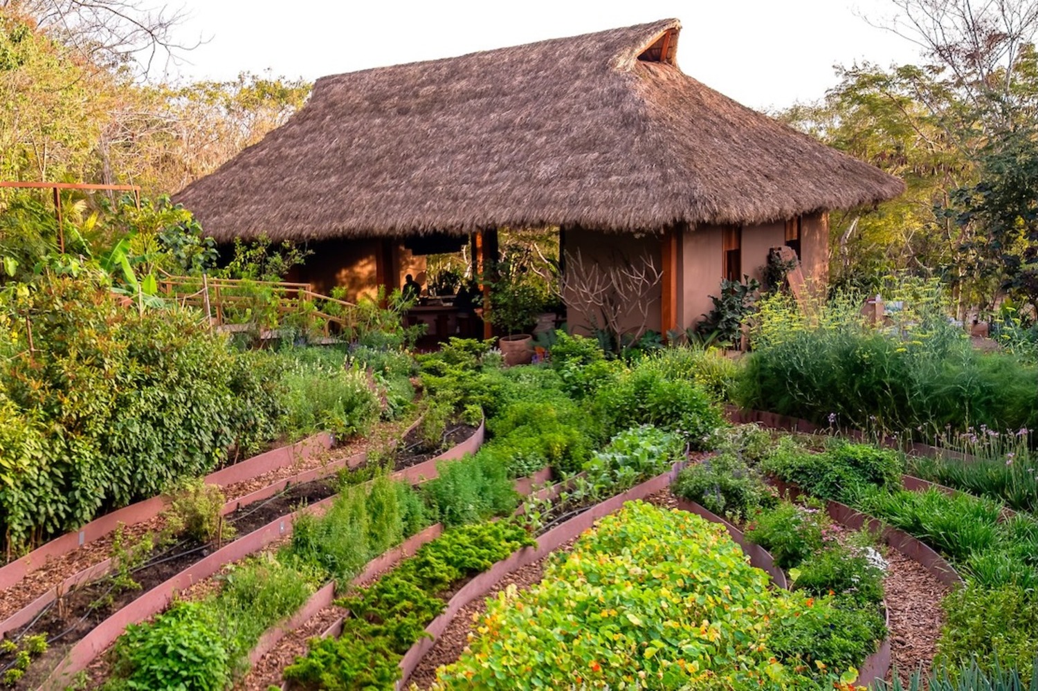 W Punta de Mita: Pool & Spa Day Pass Punta de Mita | ResortPass